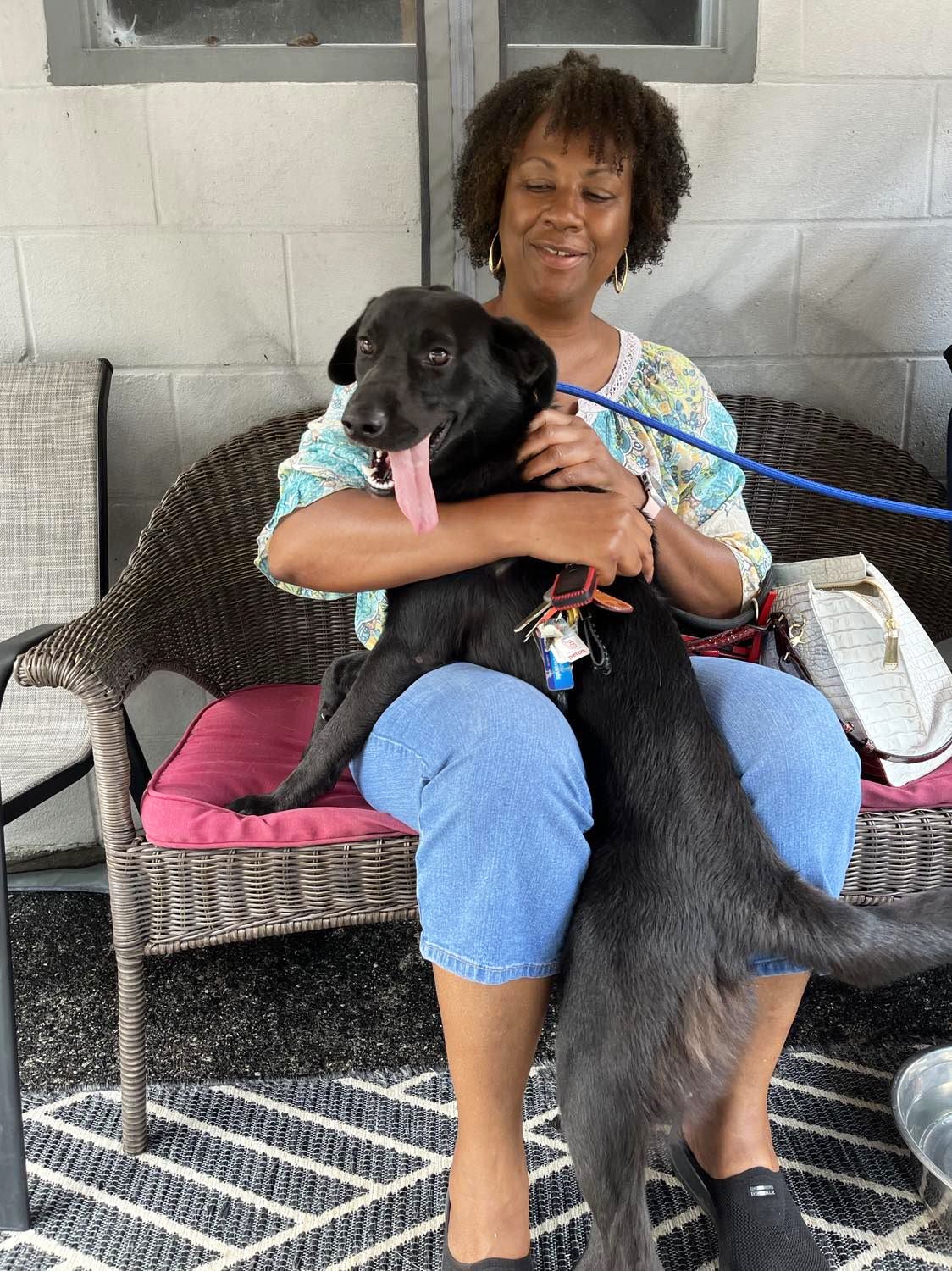 How a Tennessee animal shelter is saving more pets | Best Friends ...