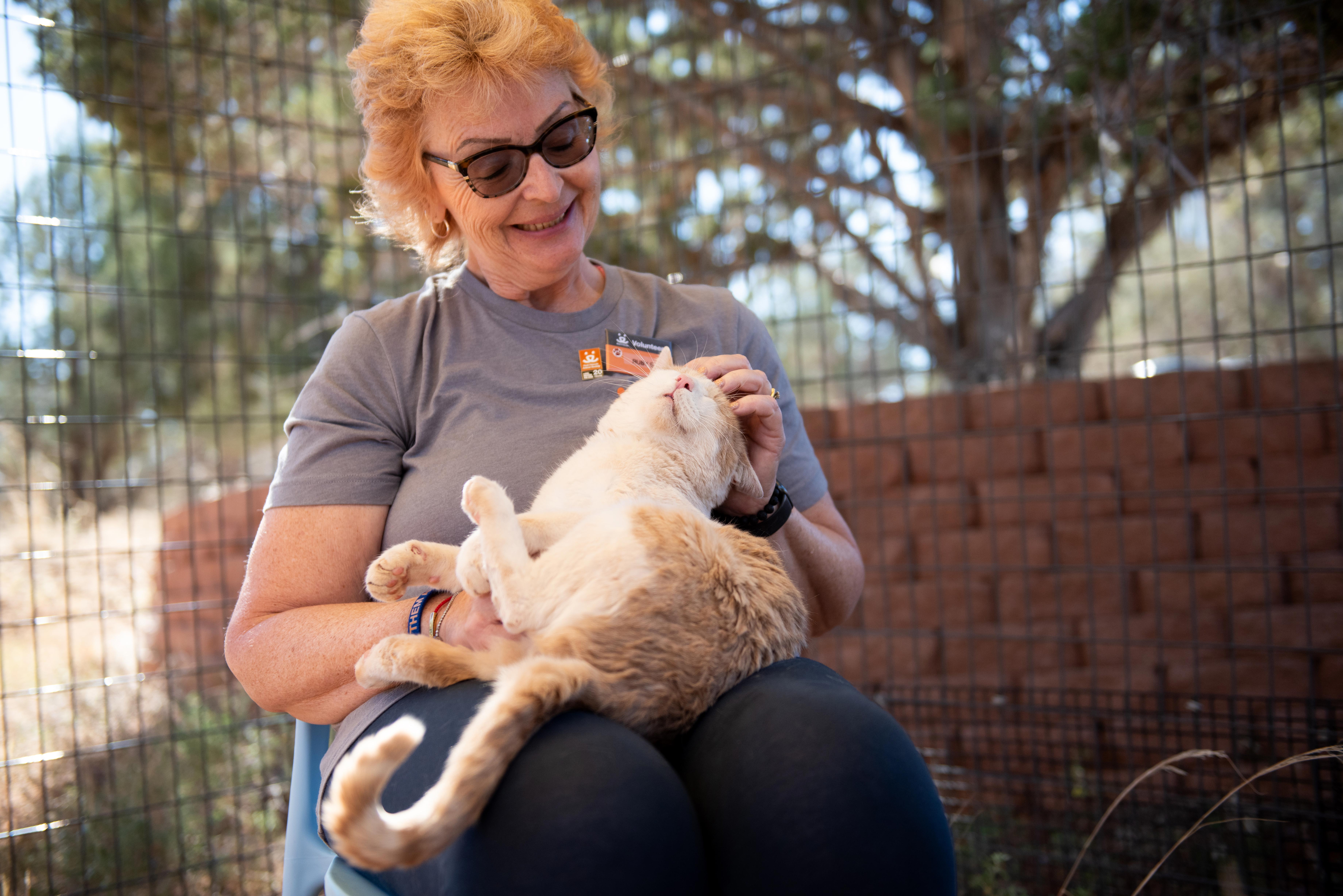 Faces of No-Kill: Cat goes from scared to superstar | Best Friends ...