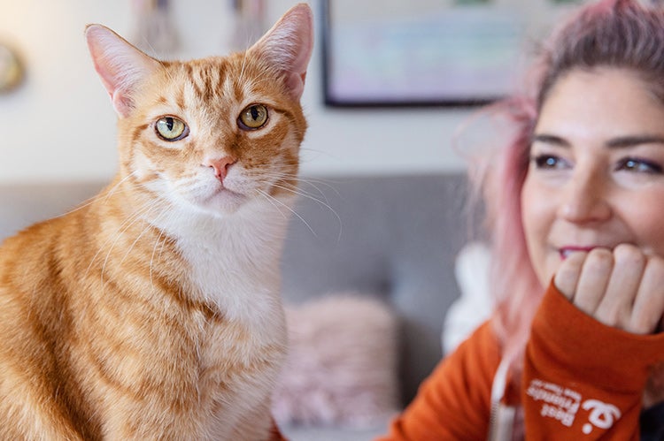 All About Cats: Behavior and Training Tips and Resource Videos | Best ...