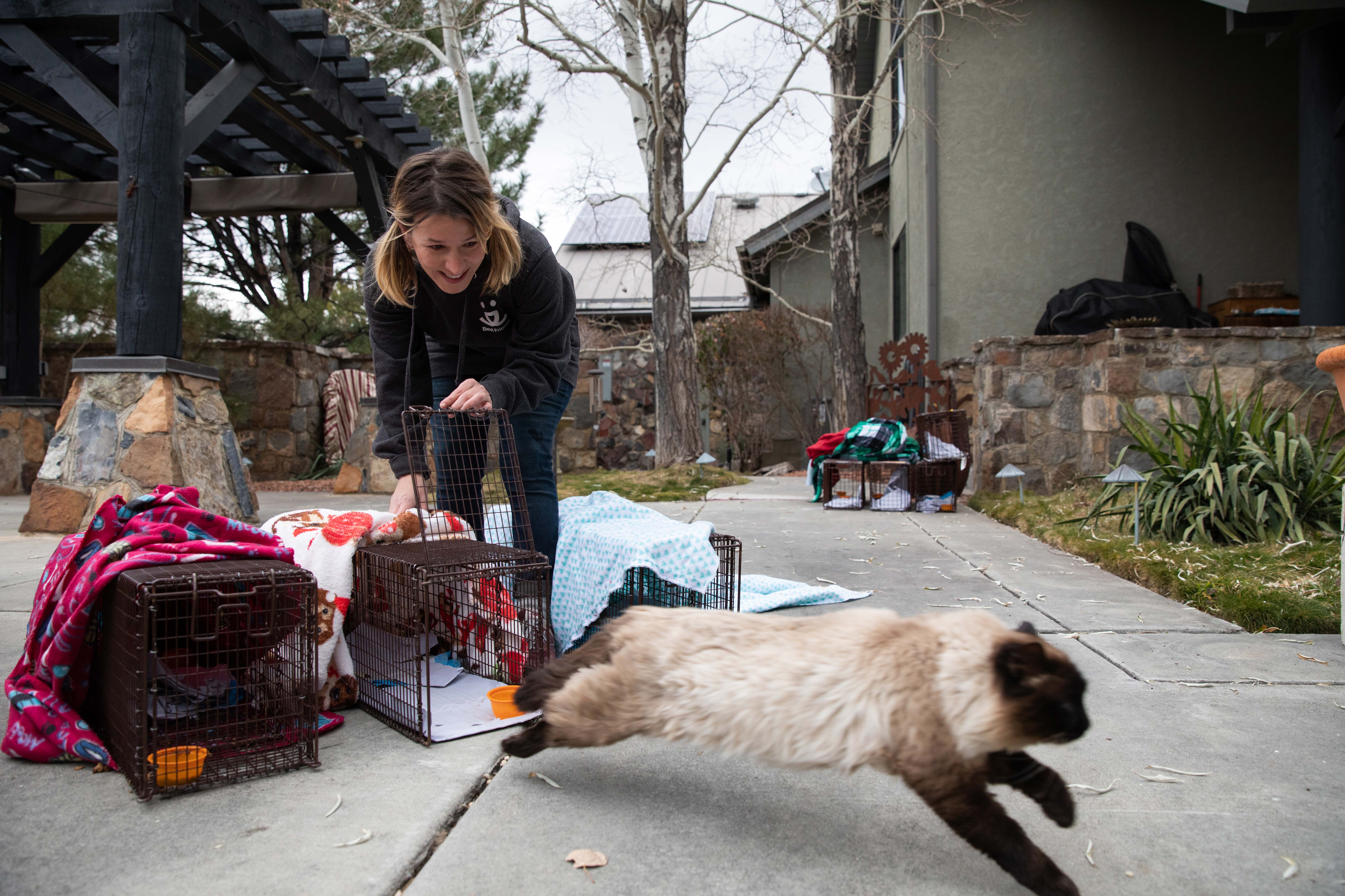 Virginia shelters take on the community cat challenge | Best Friends ...
