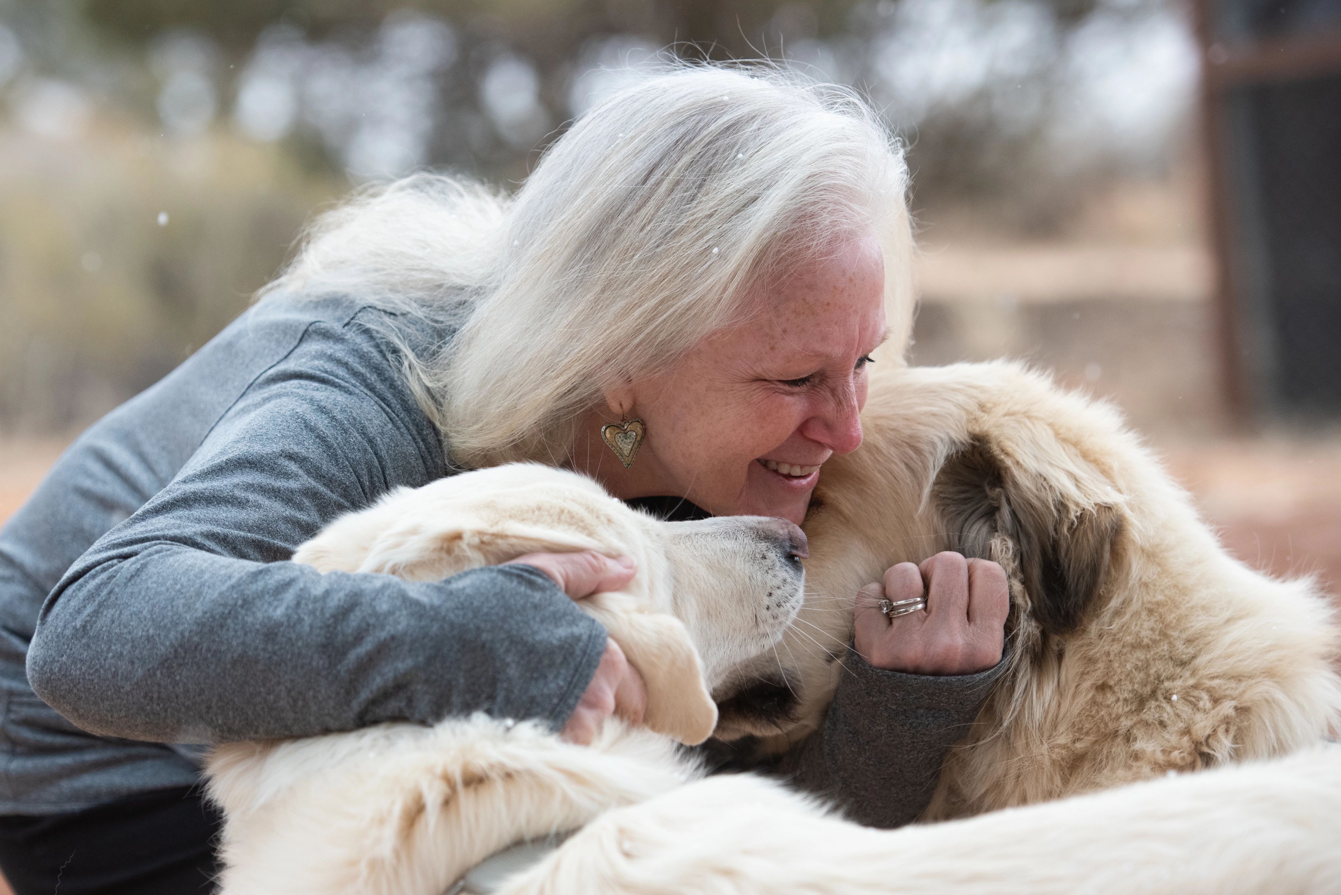 An extra-large, extra-floofy canine birthday surprise | Best Friends ...