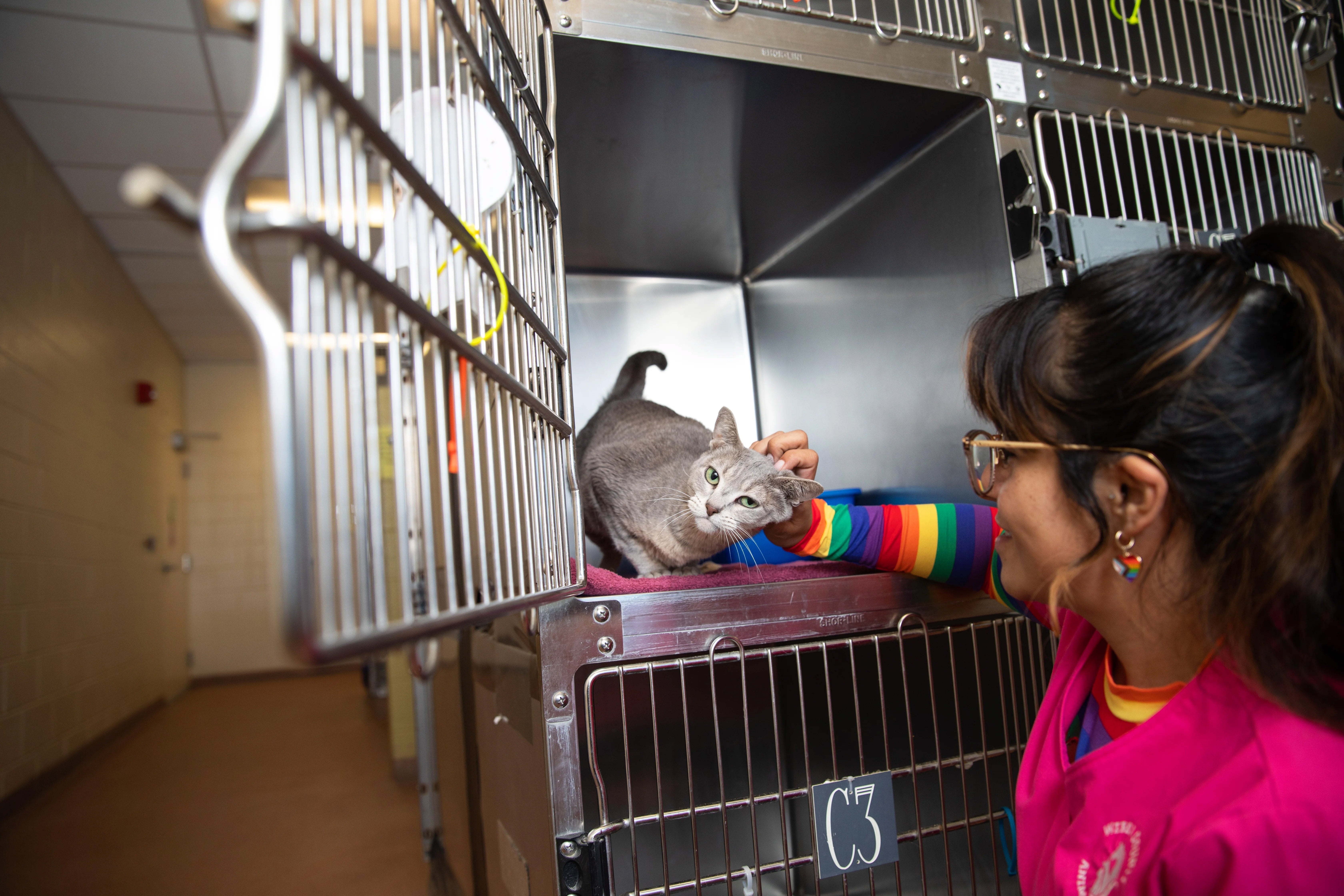 Animal shelters are partnering with a purpose | Best Friends Animal Society