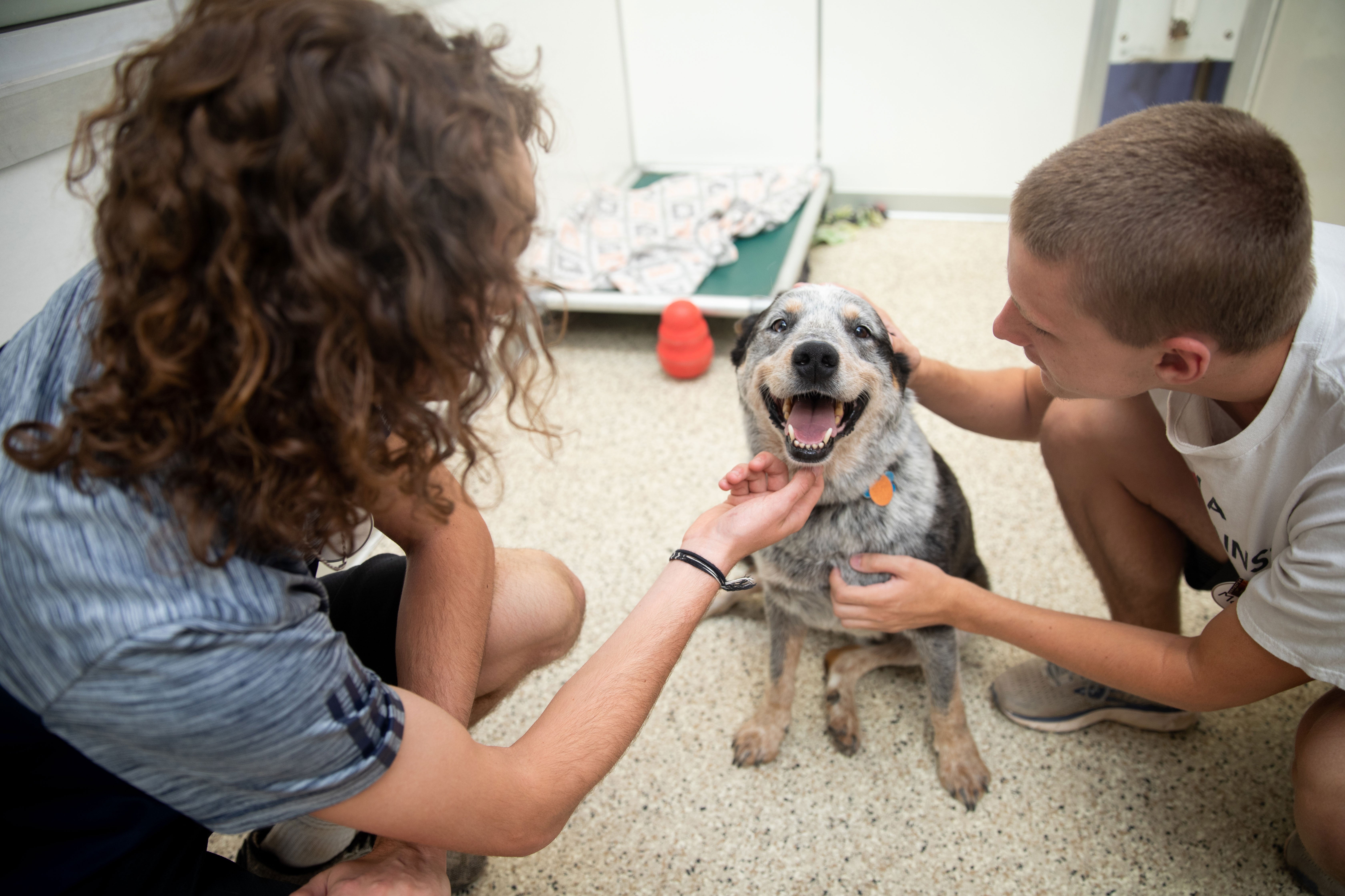 Celebrating the heart of Best Friends: Volunteers | Best Friends Animal ...