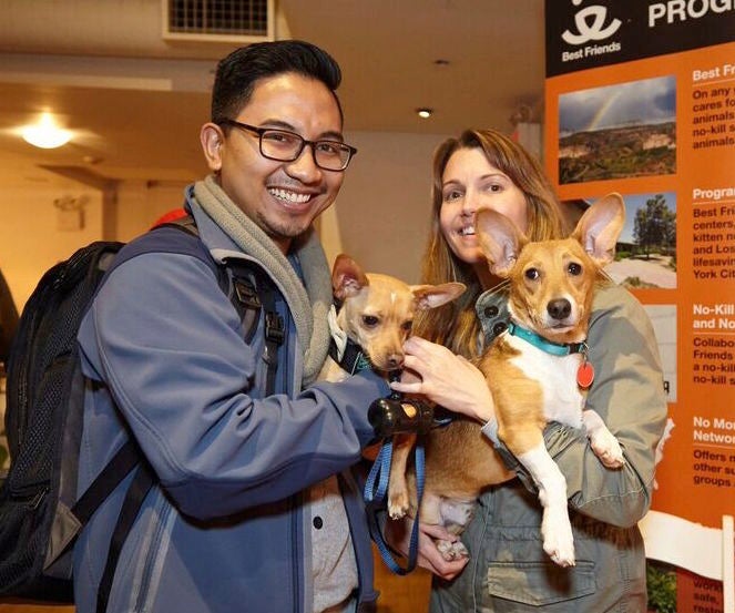 Best Friends Super Adoption | Best Friends Animal Society