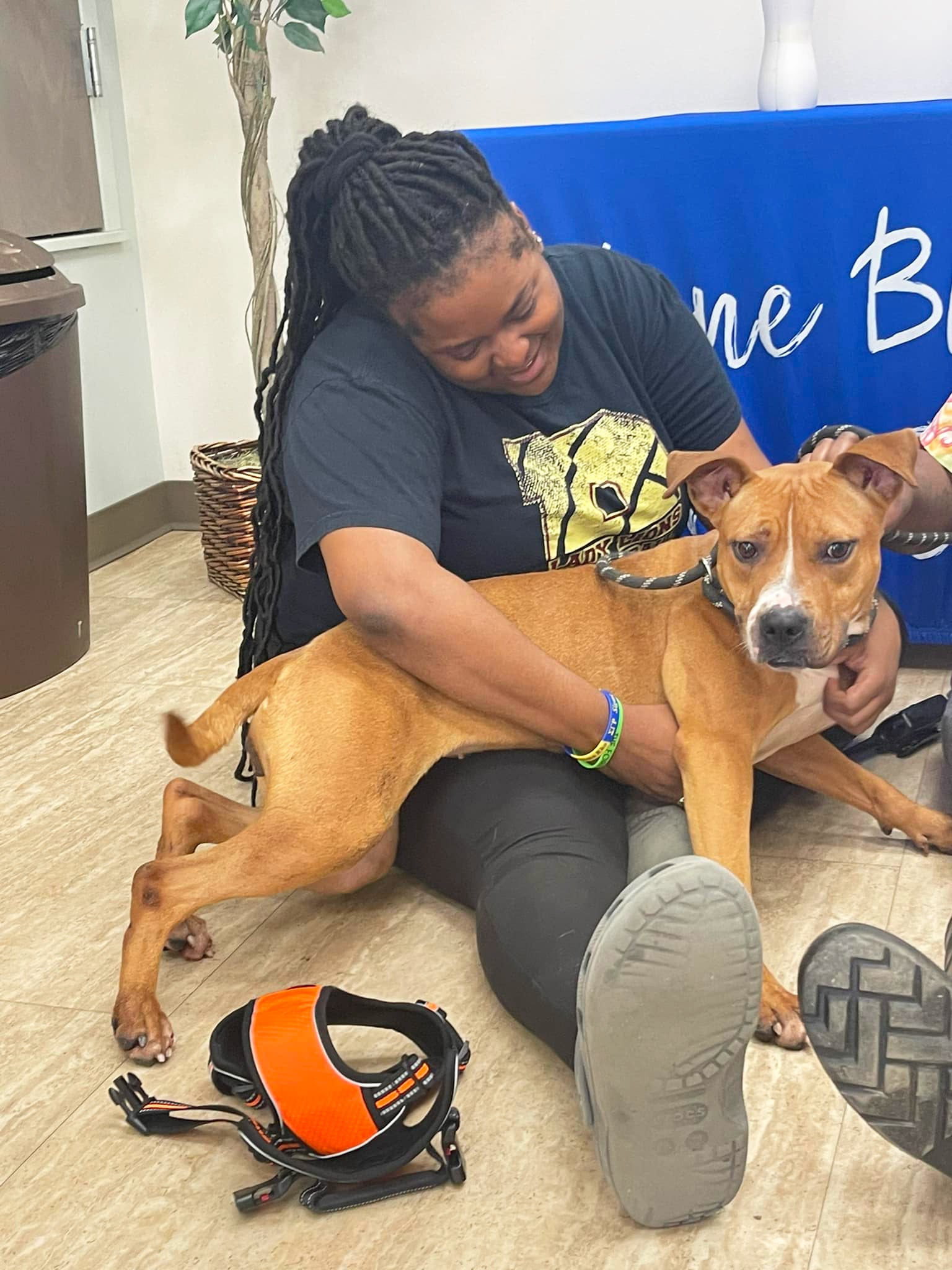 Playgroups at Arkansas shelter let a shy dog shine | Best Friends ...