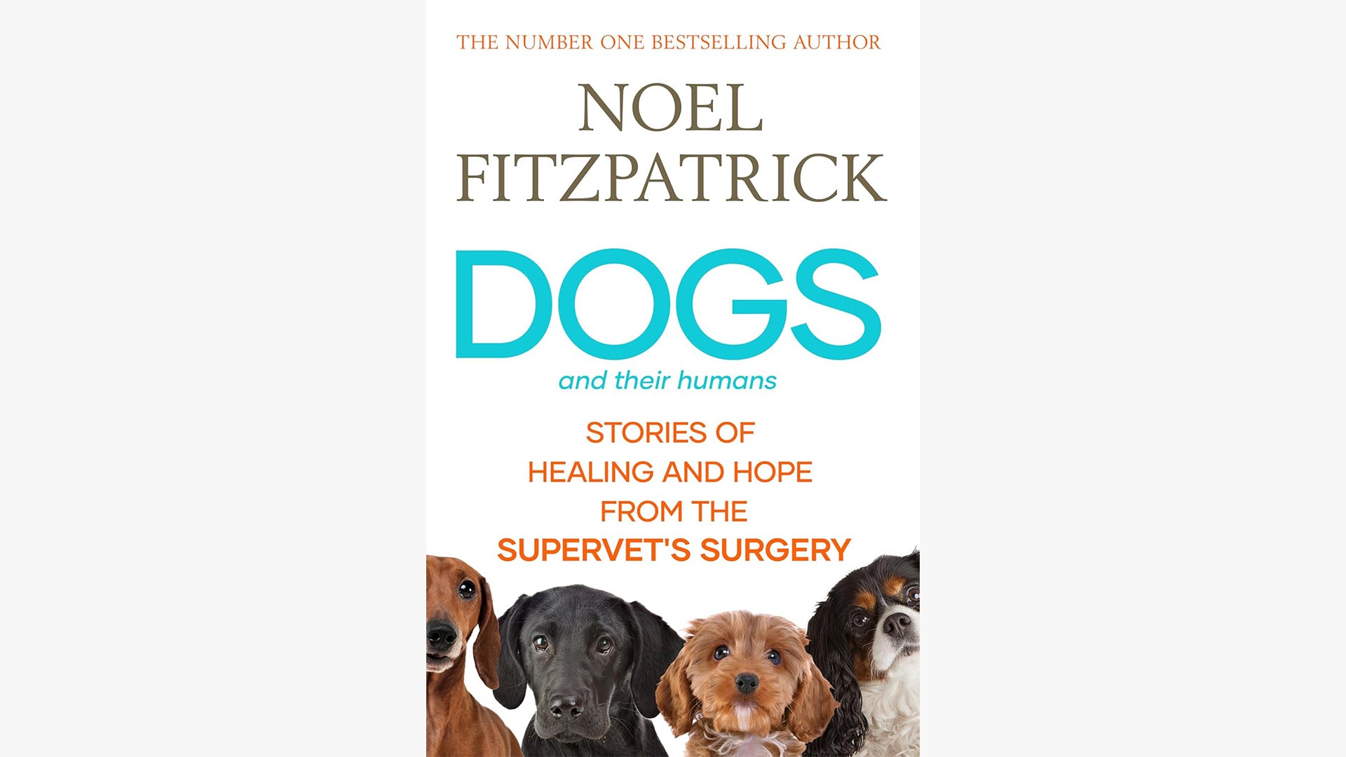 Book review: ‘Dogs and Their Humans’ | Best Friends Animal Society