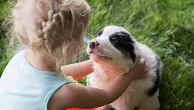 Whole Foods Sugar House helps the animals at Best Friends | Best ...
