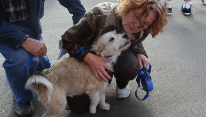 A lot of H.A.R.T. | Best Friends Animal Society