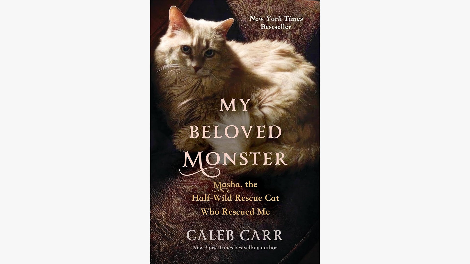 Book review: ‘My Beloved Monster’ | Best Friends Animal Society