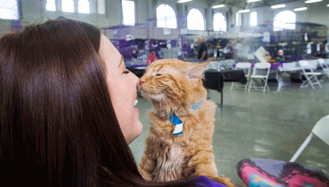 Seven great reasons to attend NKUT Adoption Weekend | Best Friends ...