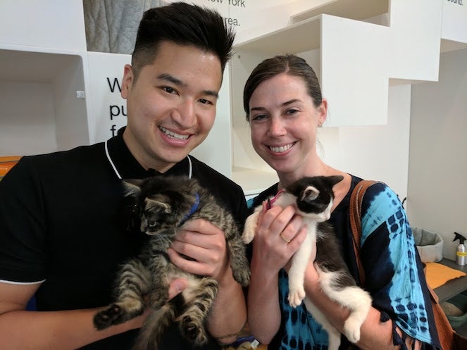 The Summer to Save Them All continues | Best Friends Animal Society