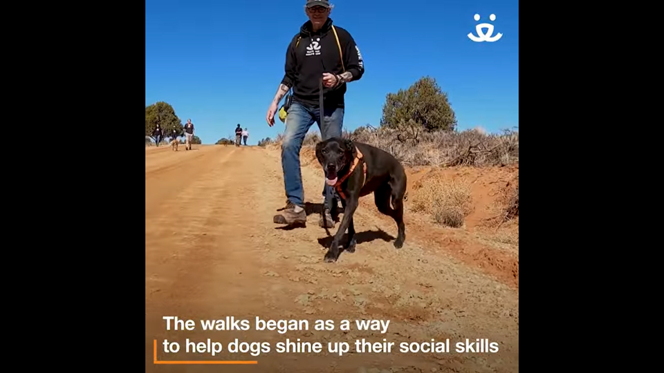 Hanging out and serious sniffing together | Best Friends Animal Society ...