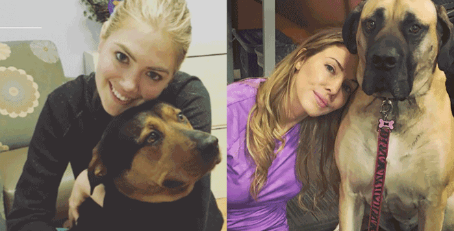 Celebrity supporters visit the Pet Adoption Center | Best Friends ...