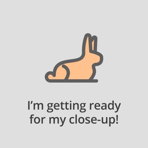 Goji | Best Friends Animal Society