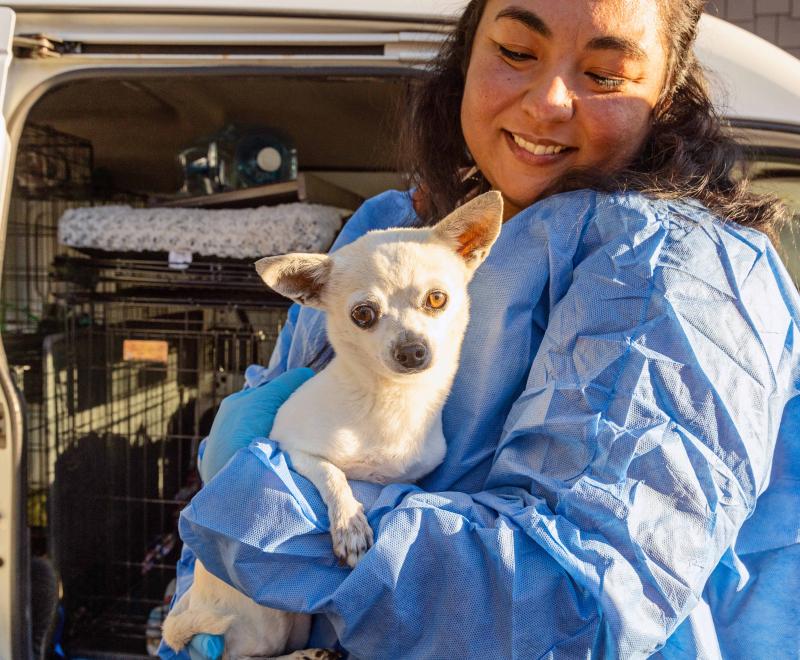 Promoting Animal Welfare & Pet Adoption | Best Friends Animal Society