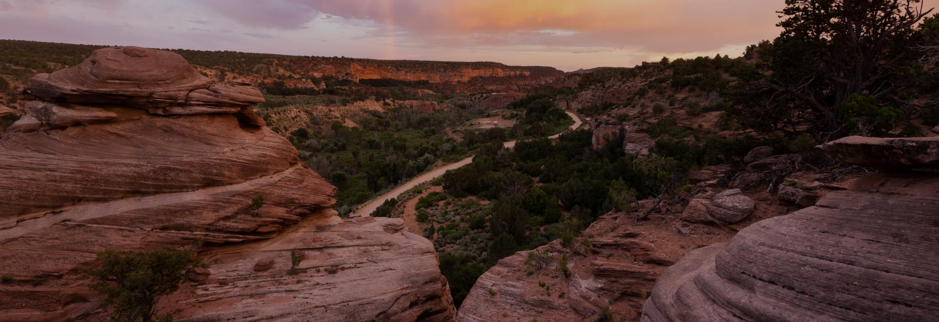 The Sanctuary | Best Friends Animal Society - Save Them All