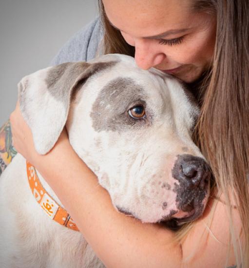 Promoting Animal Welfare & Pet Adoption | Best Friends Animal Society