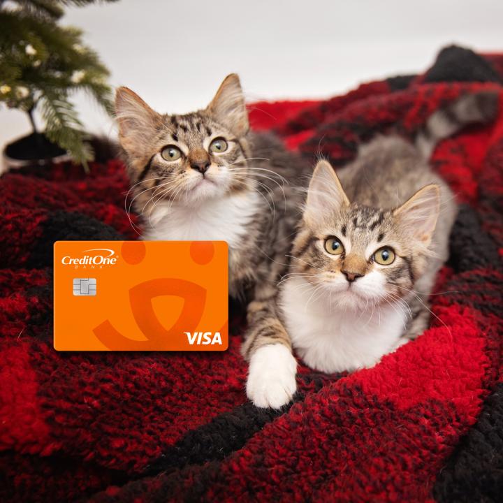 Ways to Give | Best Friends Animal Society - Save Them All