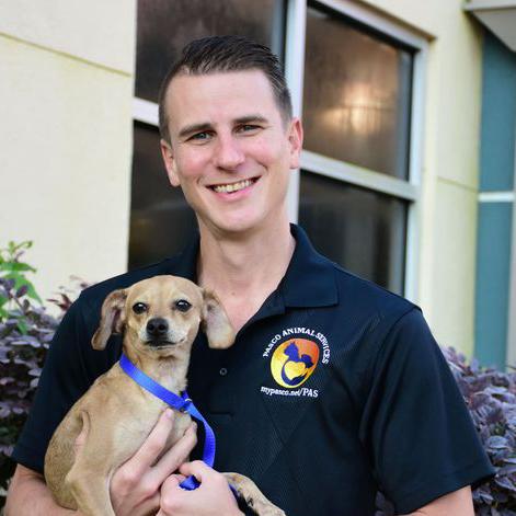 Pursue your passion to save the lives of dogs and cats | Best Friends ...