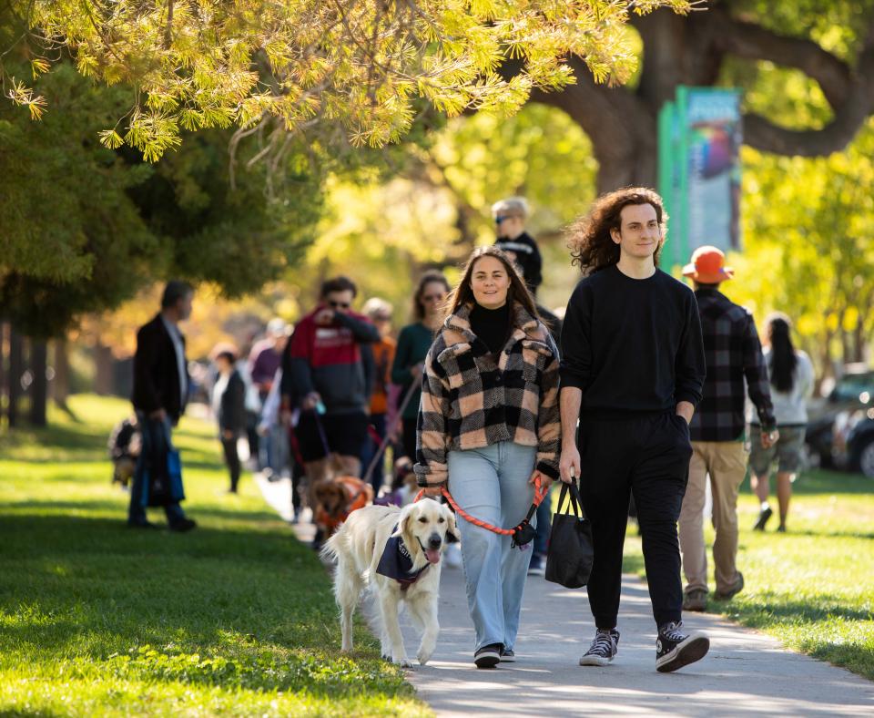 Enrichment for Shelter Cats | Best Friends Animal Society - Save Them All