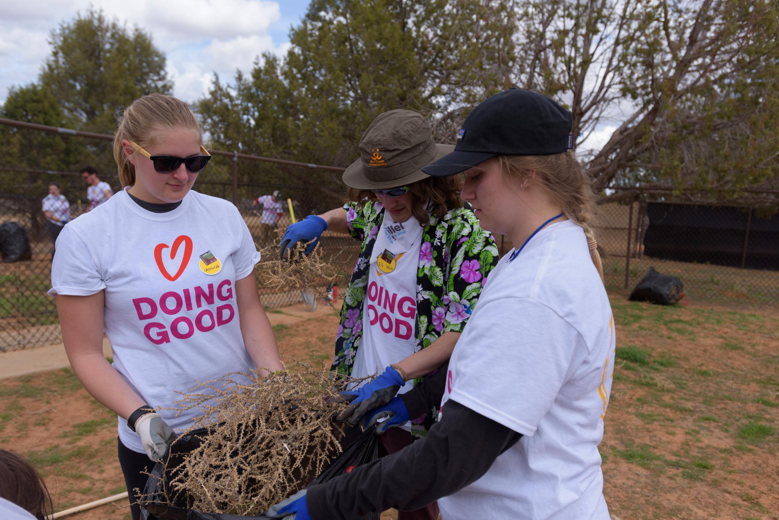Volunteer as a Group | Best Friends Animal Society