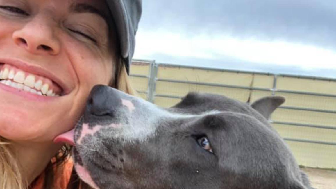 Pit Bull with Sarcoma Cancer | Best Friends Animal Society