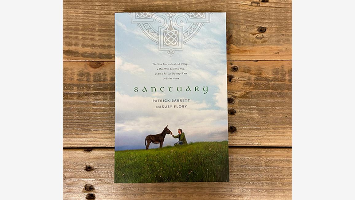 Book review: ‘Sanctuary: The True Story of an Irish Village, a Man Who ...
